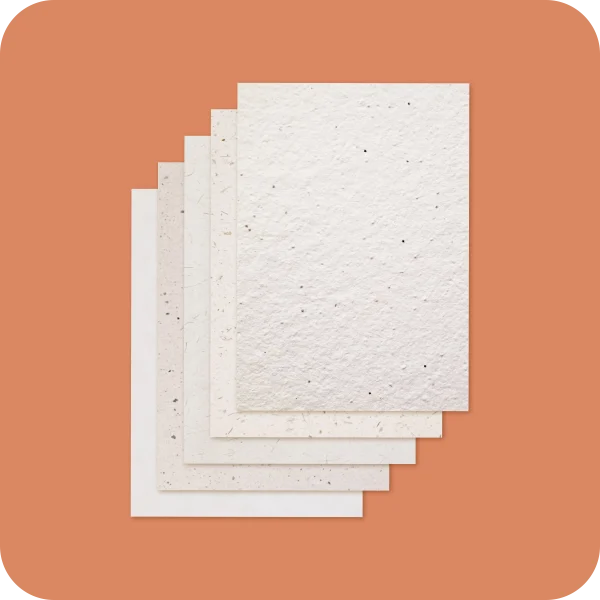 A4 Plantable and Eco Paper – myecostudio