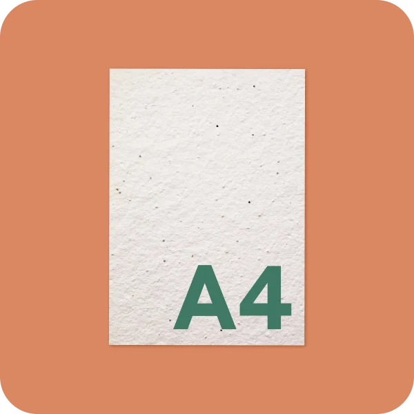 A4 Plantable and Eco Paper – myecostudio